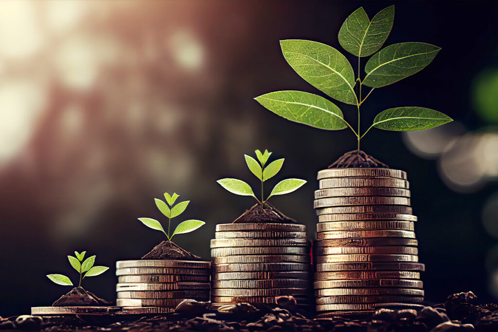 Remedies to improve financial status: How to improve your financial status