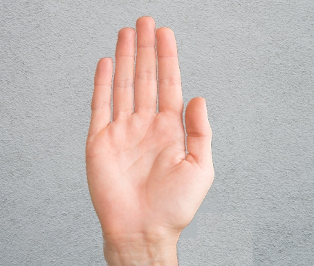 Palmistry: Length of Fingers and Your Fate Connected - InstaAstro