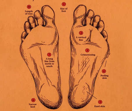 The Astrology of Foot Reading - InstaAstro