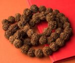 Benefits of Rudraksha: Boost Health, Wealth and Happiness!