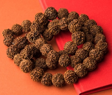 Benefits of Rudraksha: Boost Health, Wealth and Happiness!