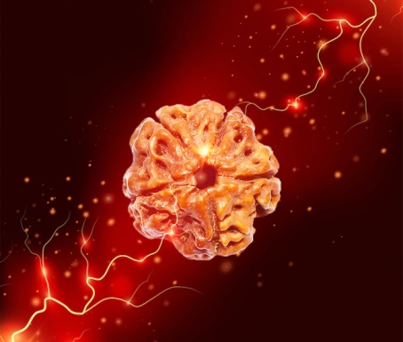 What are the benefits of Wearing a Rudraksha? - InstaAstro