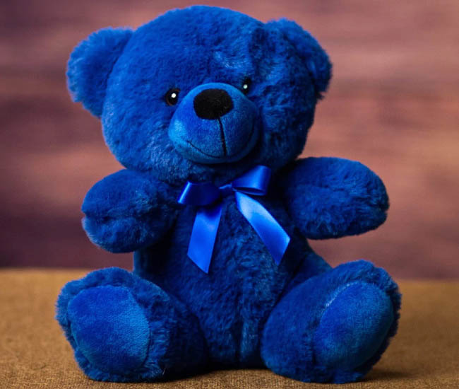 Best Teddy for Your Partner According to their Zodiac Sign - InstaAstro
