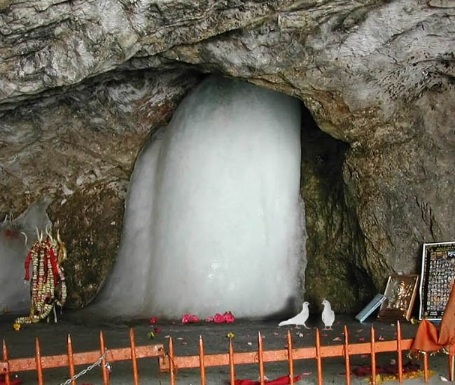 Divine Eavesdropping: The Amarnath Pigeon's Story - InstaAstro