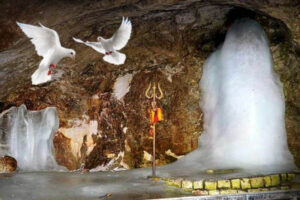 Divine Eavesdropping: The Amarnath Pigeon's Story - InstaAstro