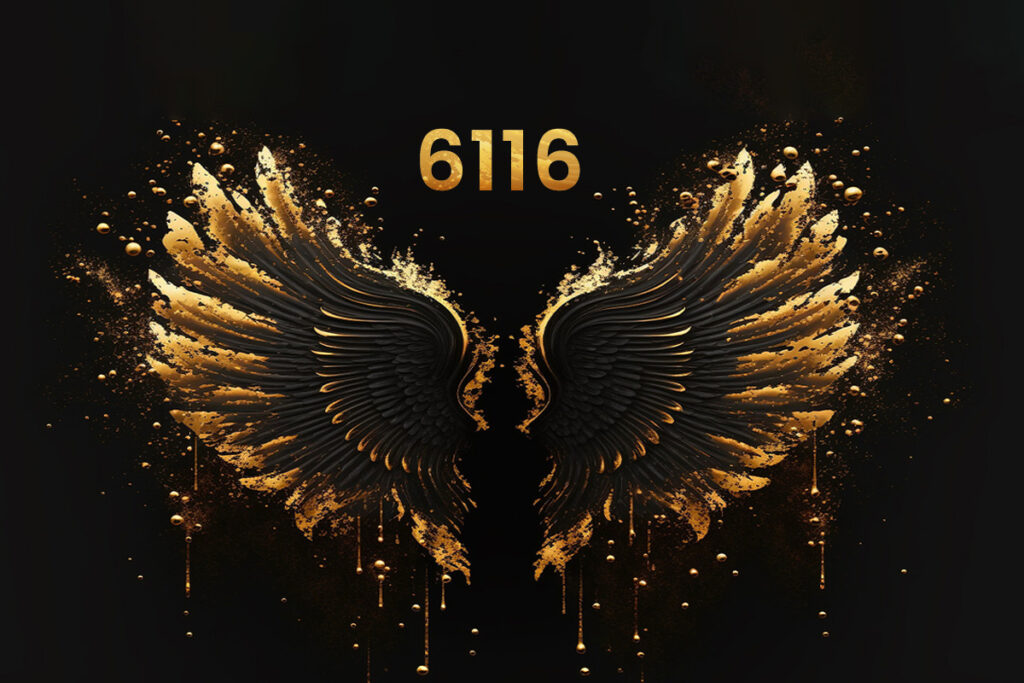 6116 Angel Number: Love and Protection from your Angels! - InstaAstro