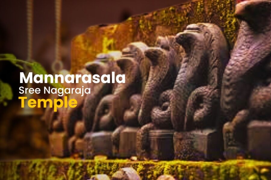 Mannarasala Sree Nagaraja Temple, The Biggest Serpent Temple in Kerala ...