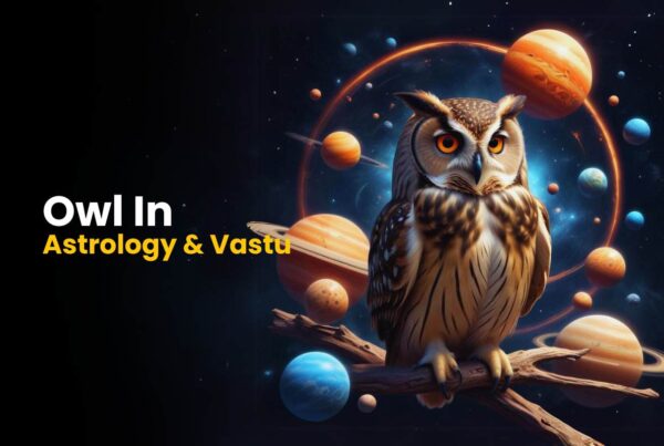 The 5 Most Unpredictable Zodiac Signs: A Closer Look - InstaAstro