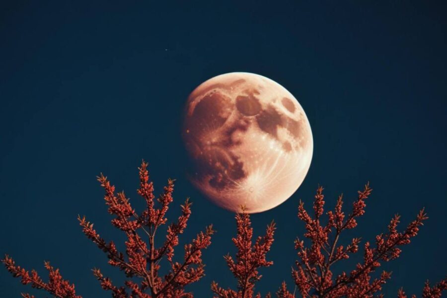 Know What Buck Moon 2025 Brings For Your Zodiac Sign!