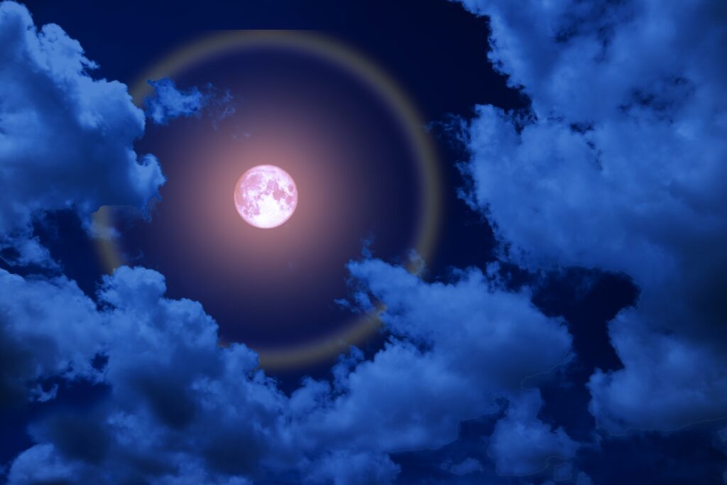 May Flower Moon 2025: What You Can Expect From It!